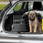 4x4 North America - Variocage